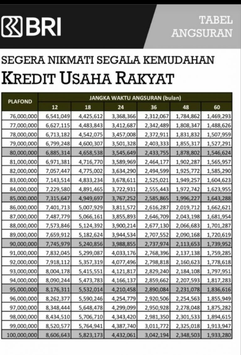 Tabel KUR BRI 2023 Lengkap Pinjaman Perorangan, Kur Mikro dan Kur Kecil - WAKTU.ID